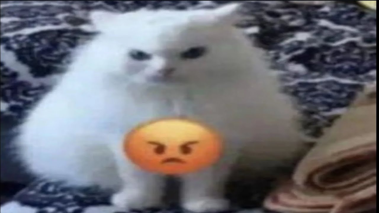 Evil Larry refuses to give back my penar - YouTube