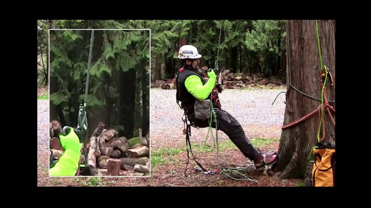 Rope Descent Sterling ATS Multi-Function Belay Device - For Climbing ...