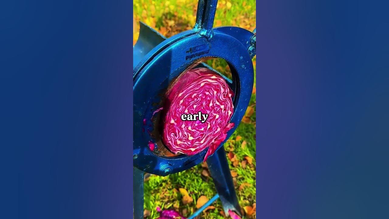 what's a type you're attracted to but too embarrassed to tell anyone #reddit #satisfying #slime ...