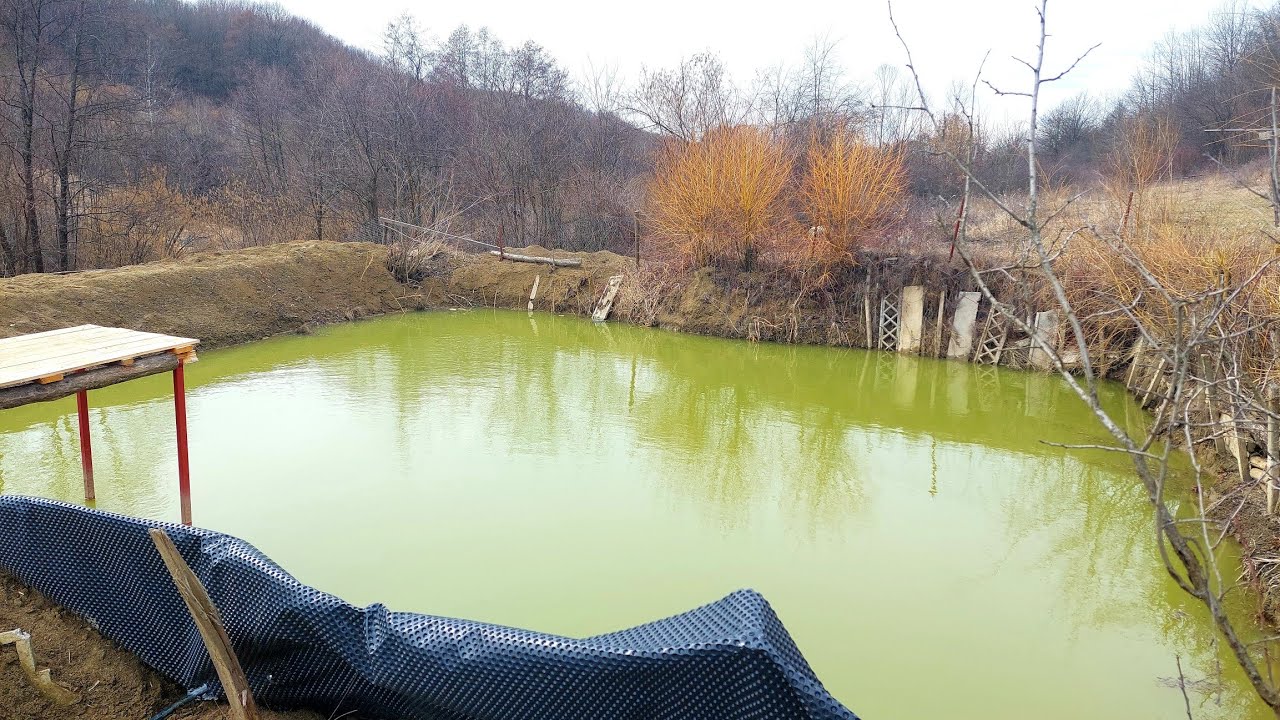 BALTA DIN GRADINA - SURSA NOUA DE APA ! HAI PRIMAVARA 🥰🐟 - YouTube