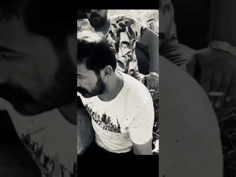 Fırat Çakan Sare