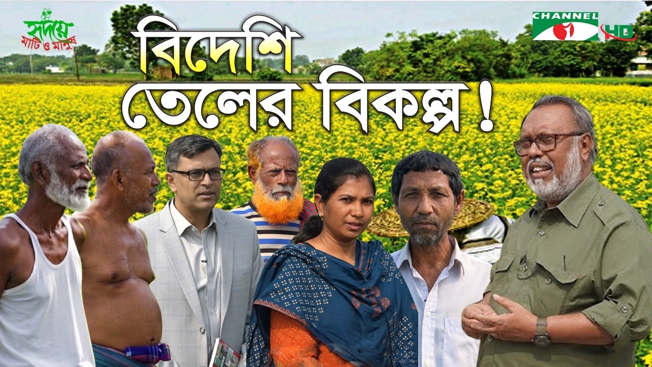 বিদেশি তেলের বিকল্প! | বাংলাদেশ কৃষি গবেষণা ইনস্টিটিউটের সরিষা বিপ্লব ...