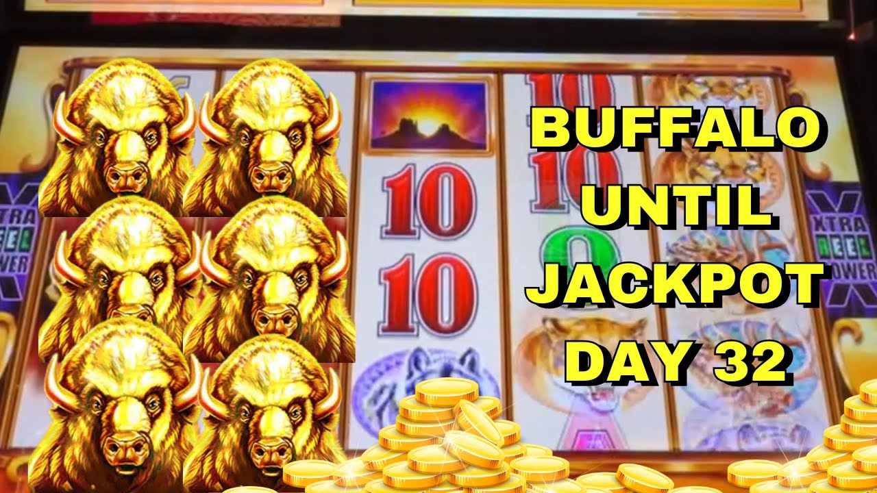 Trying to get a MAJOR JACKPOT in Buffalo Gold! - YouTube