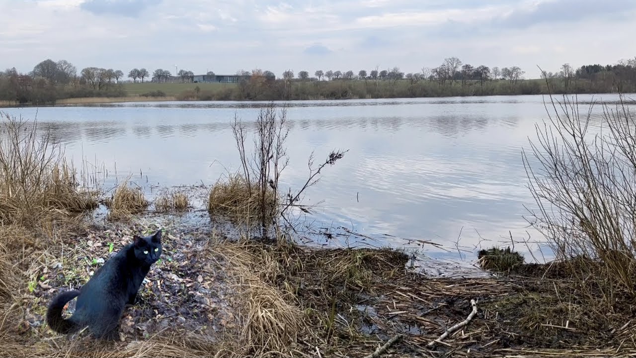 Martin running to the lake and back - YouTube