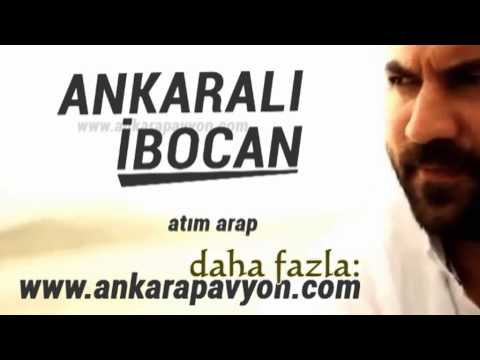 Ankaralı İbocan   Atım Arap
