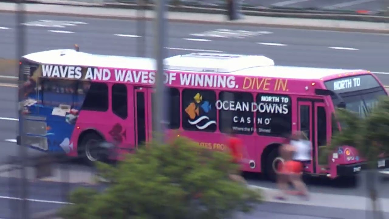 Ocean City Beach Bus 2018 ENC Axess BRT #2147. A second Ocean Downs ...