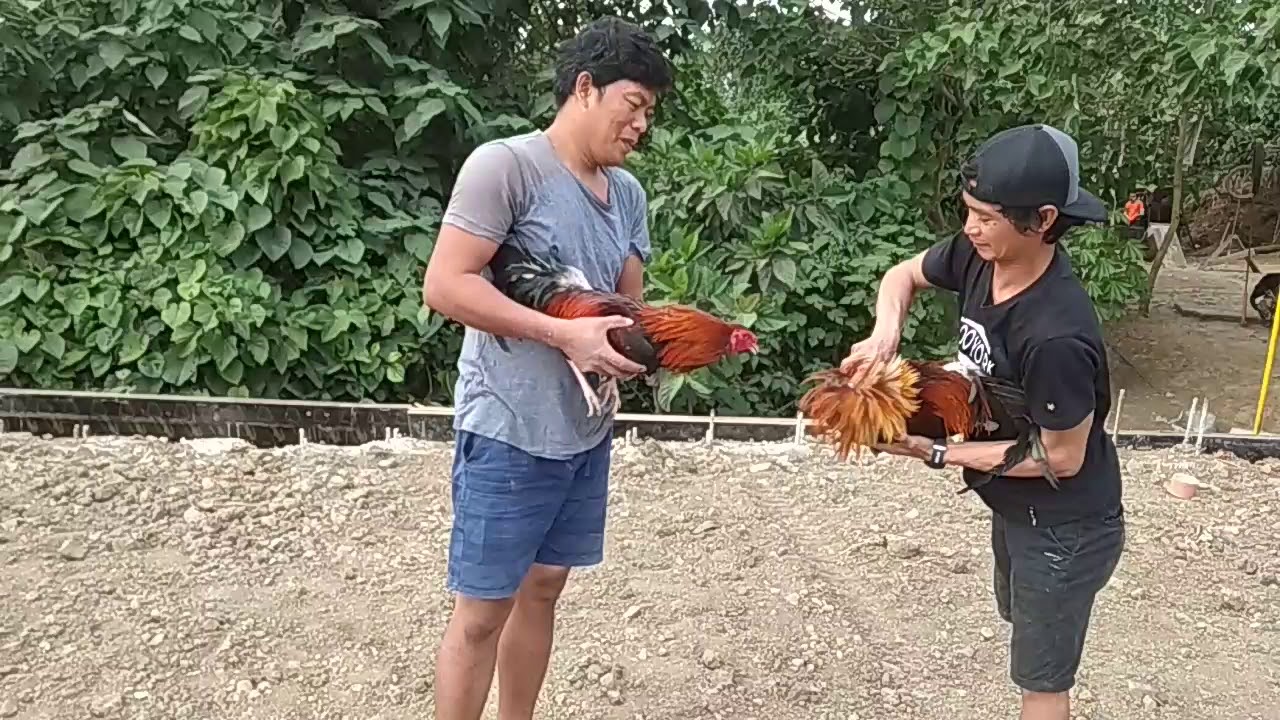 malopiton - YouTube