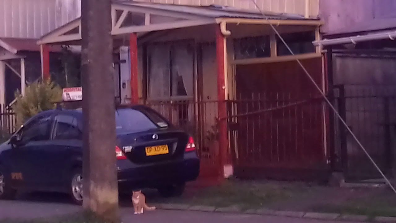 ANDAI PURO SAPIANDO !! - YouTube