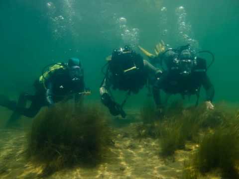 Het onderwaterpark te Mol: Zilvermeer - YouTube