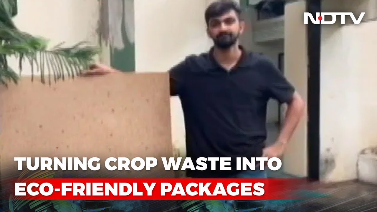Craste - Turning Crop Waste Into Eco-Friendly Packages | The Property ...