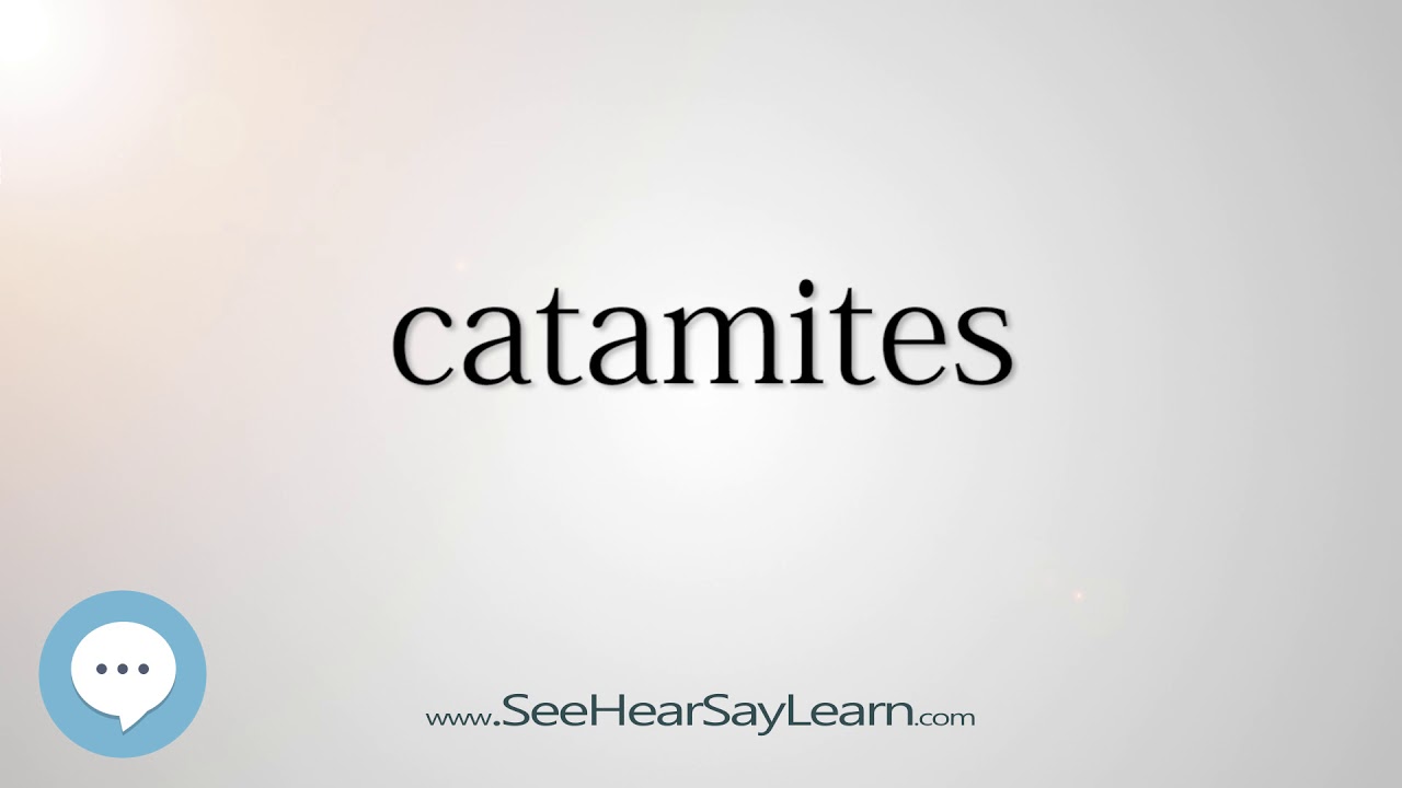 catamites - YouTube