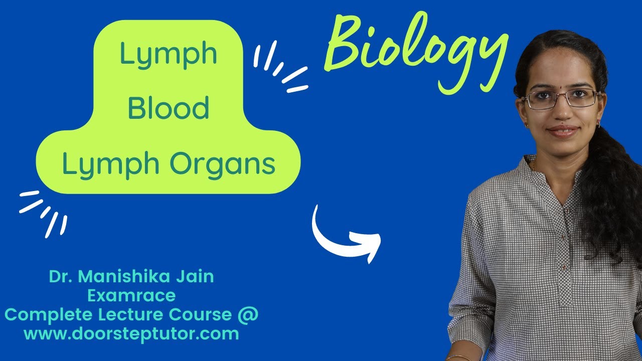 Lymph vs. Blood; Lymph Organs - Know the Difference - NSO NSTSE ...