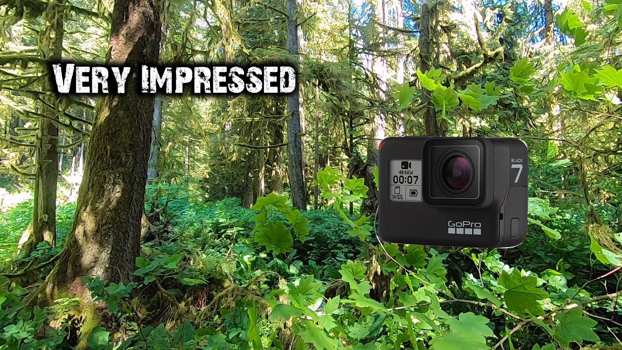 Cedar Forest Hike | Testing the GoPro HERO7 Black Edition - YouTube