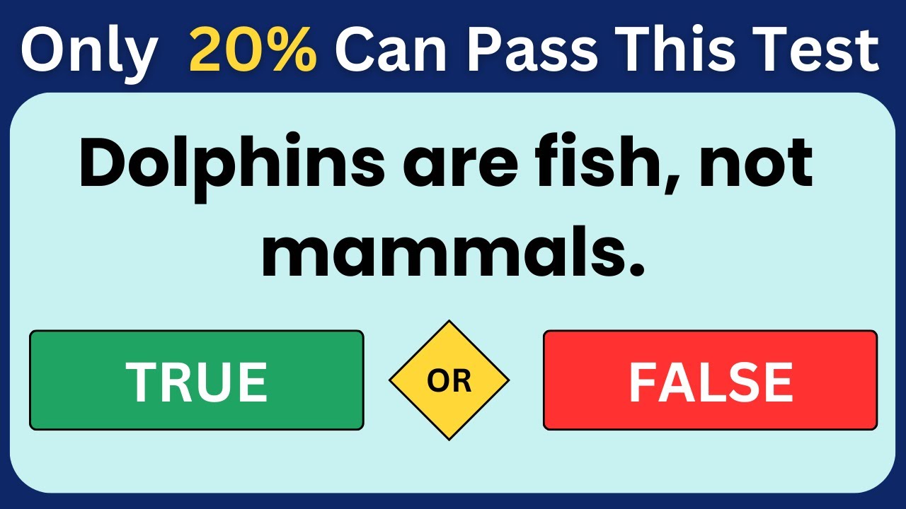 TRUE OR FALSE QUIZ ; CAN YOU SCORE 100% ? #challenge #gk #gkquiz # ...