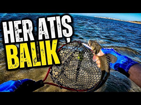 HER ATIŞ BALIK. SU ÜSTÜ LEVREK AVI