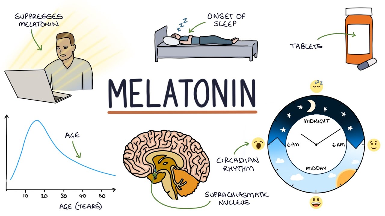 Understanding Melatonin - YouTube