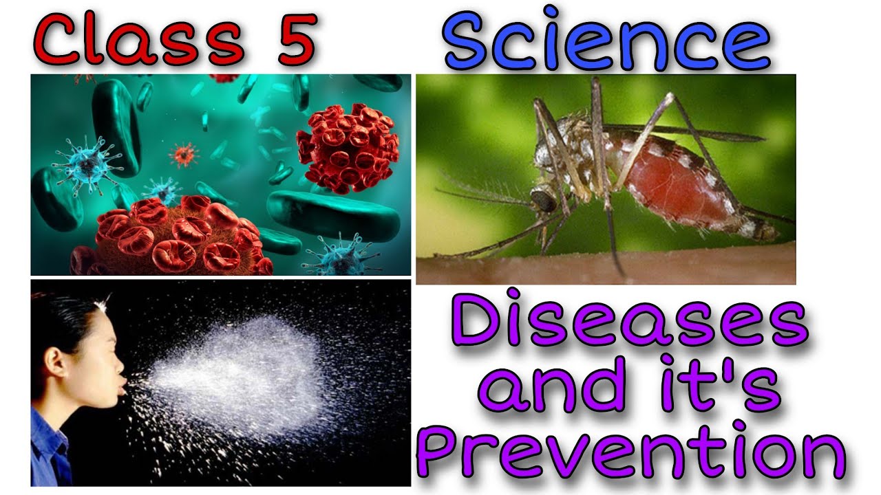 Diseases and it's Prevention, Class 5, Science ch-02 CBSE board - YouTube