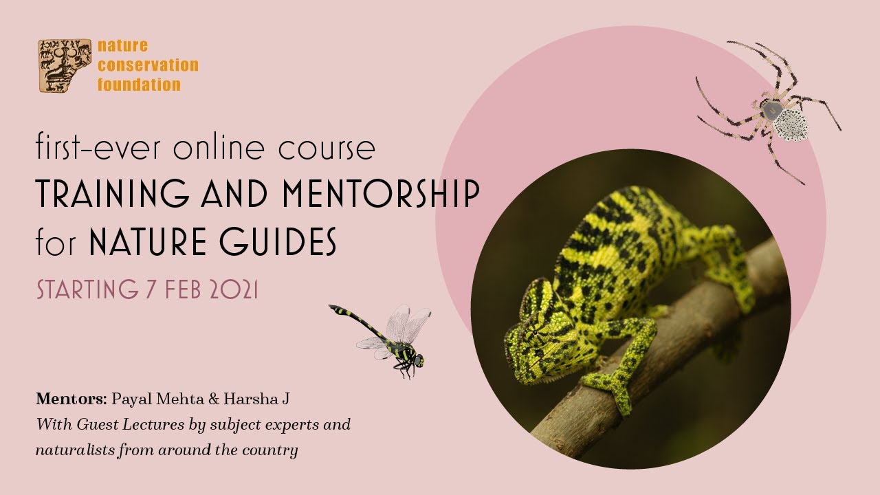 Online Nature Guide Training Course: An introduction - YouTube