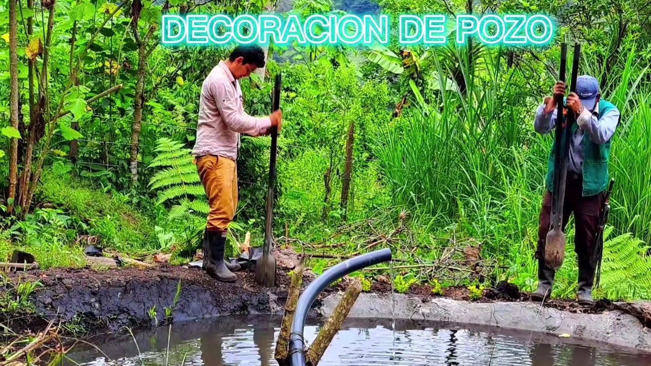 COMO DECORAR POZOS NATURALES Y ARTIFICIALES - YouTube
