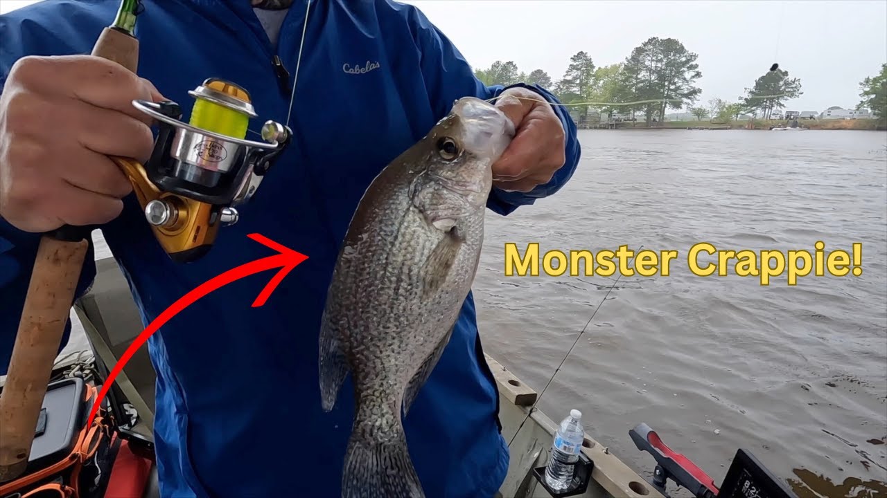 Catching Monster Crappie in Crappie Weather! #crappiefishing #fishing ...