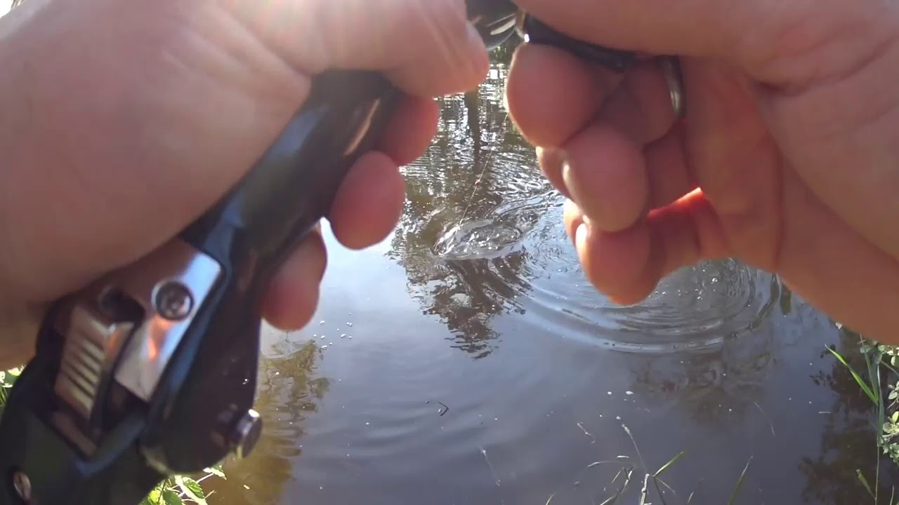 Karpfendrill mit Instant Fisherman Rute carp fishing with instant ...