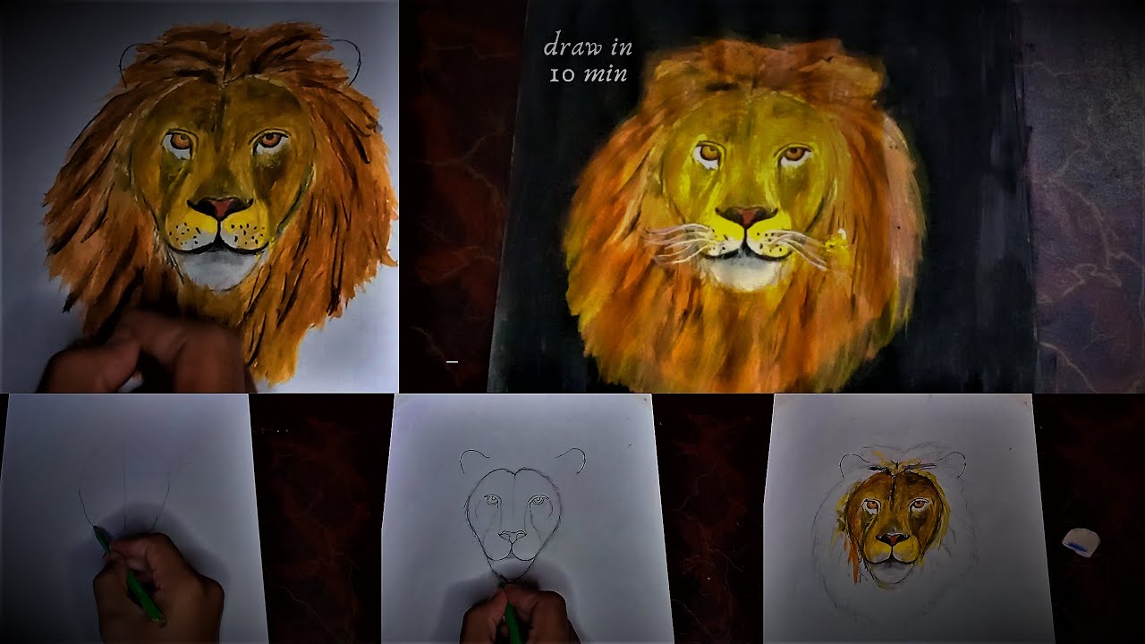 how to make loin drawing with water colour's step by step procedure ...