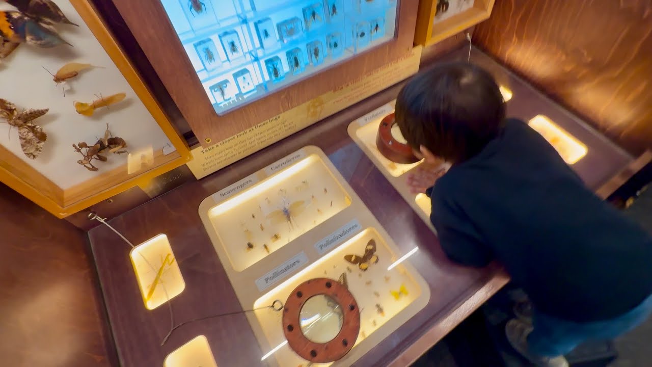 Palo Alto Junior Museum and Zoo (3), California - YouTube