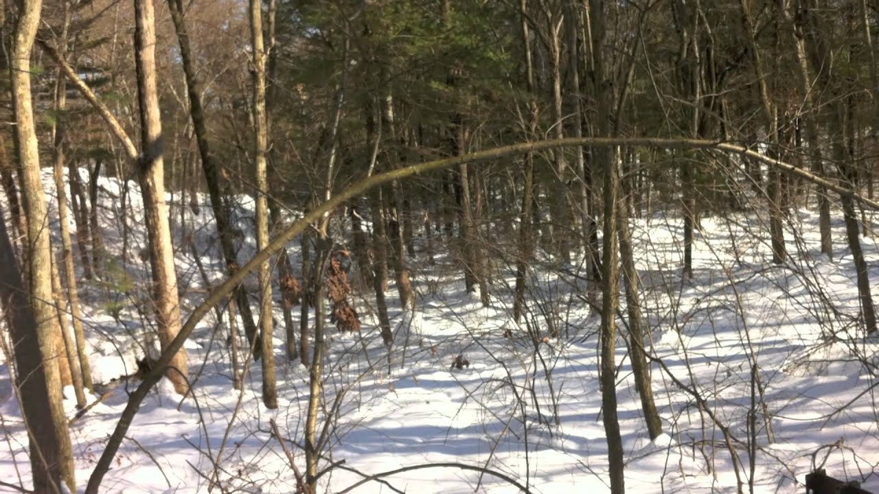 Winter Hike at Breakheart Reservation - Saugus, MA - YouTube