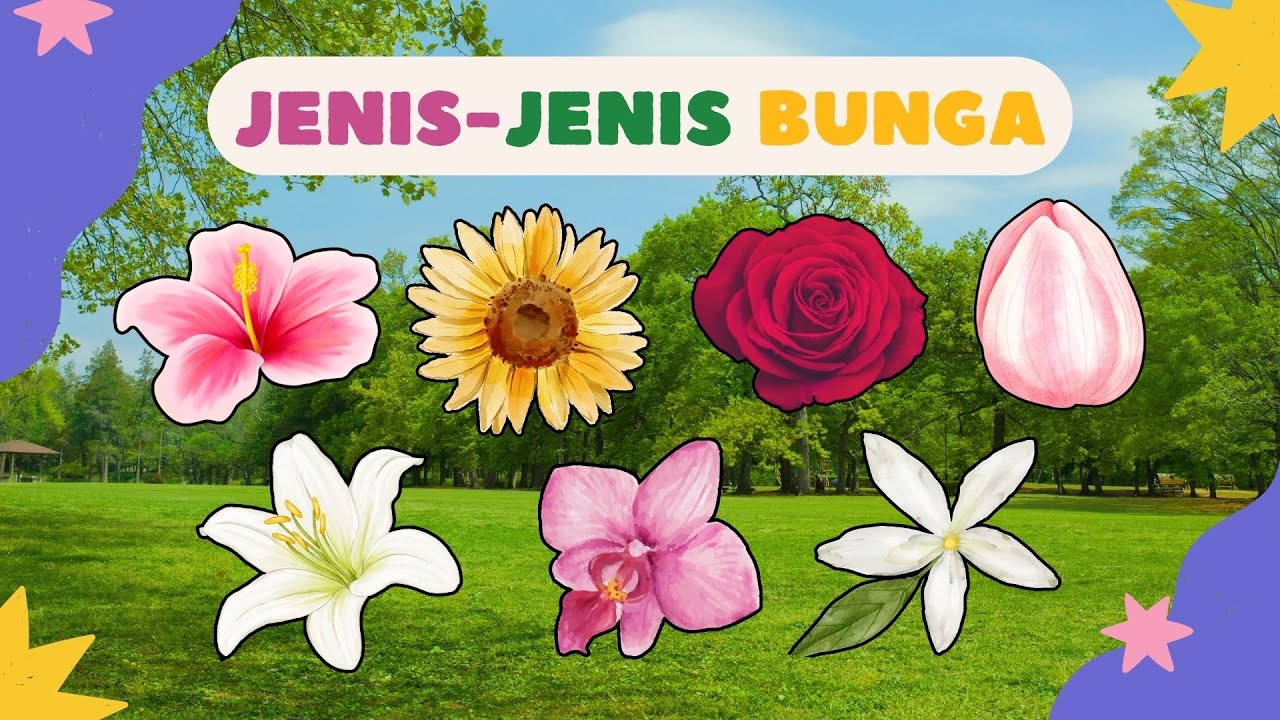 7 JENIS BUNGA DI INDONESIA || MENGENAL JENIS-JENIS BUNGA BERSAMA ...