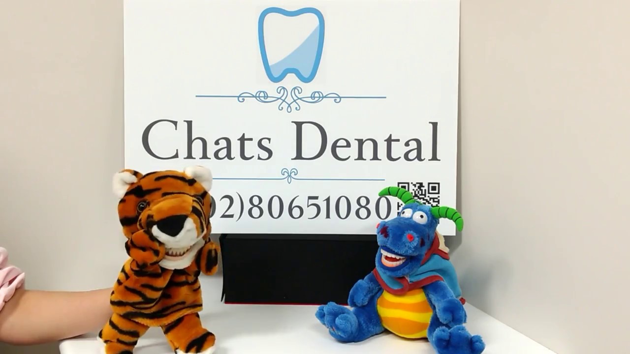 Chats Dental Puppet Show - Oral Hygiene Care - YouTube