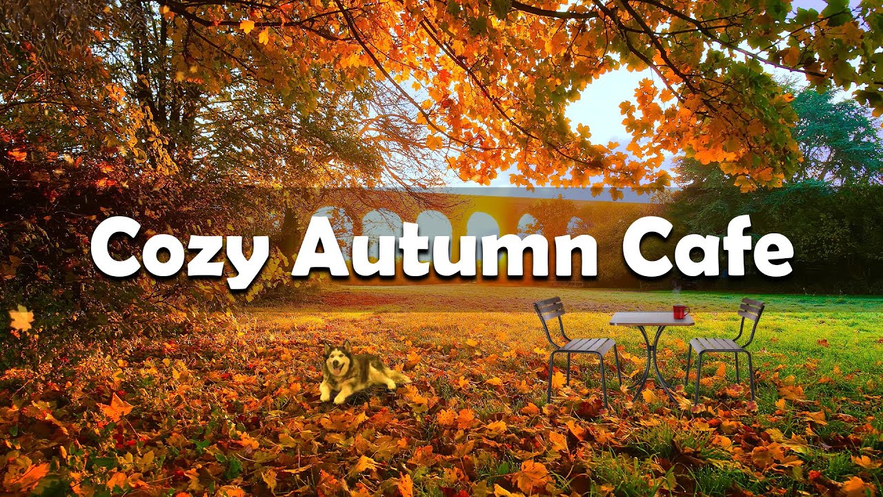 Cozy Autumn Cafe Ambience ASMR: Relaxing Fall Nature Sounds for ...