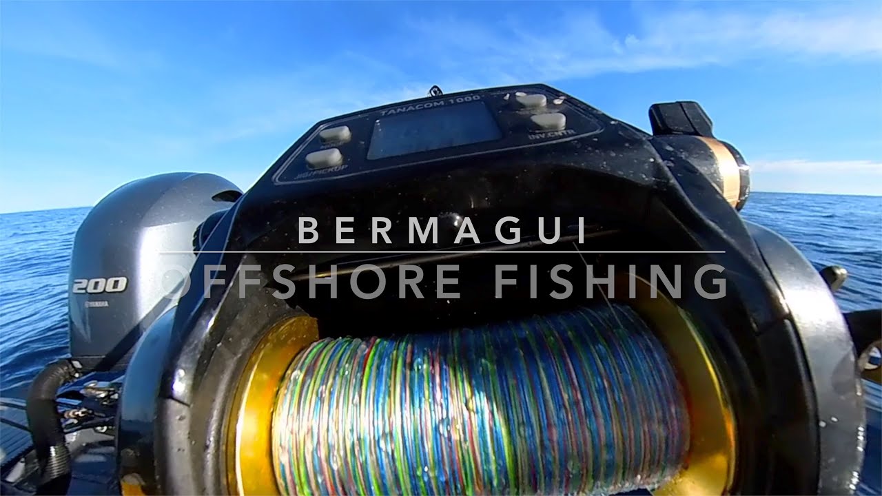 Bermagui offshore fishing - YouTube