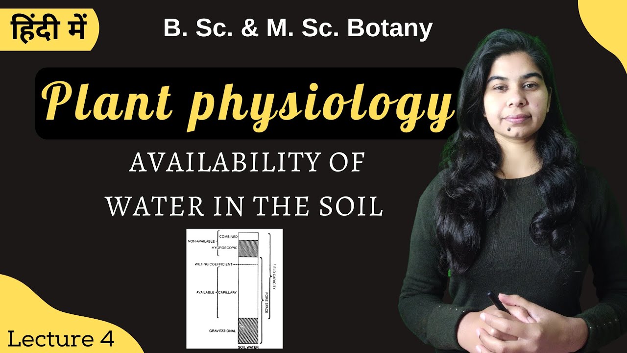 Plant physiology || AVAILABILITY OF WATER IN THE SOIL || Botany || B ...