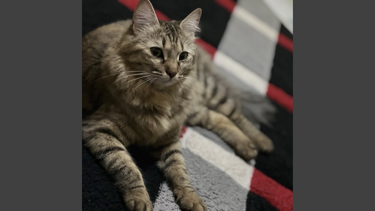 Man Litungu (Acoustic Version) - YouTube