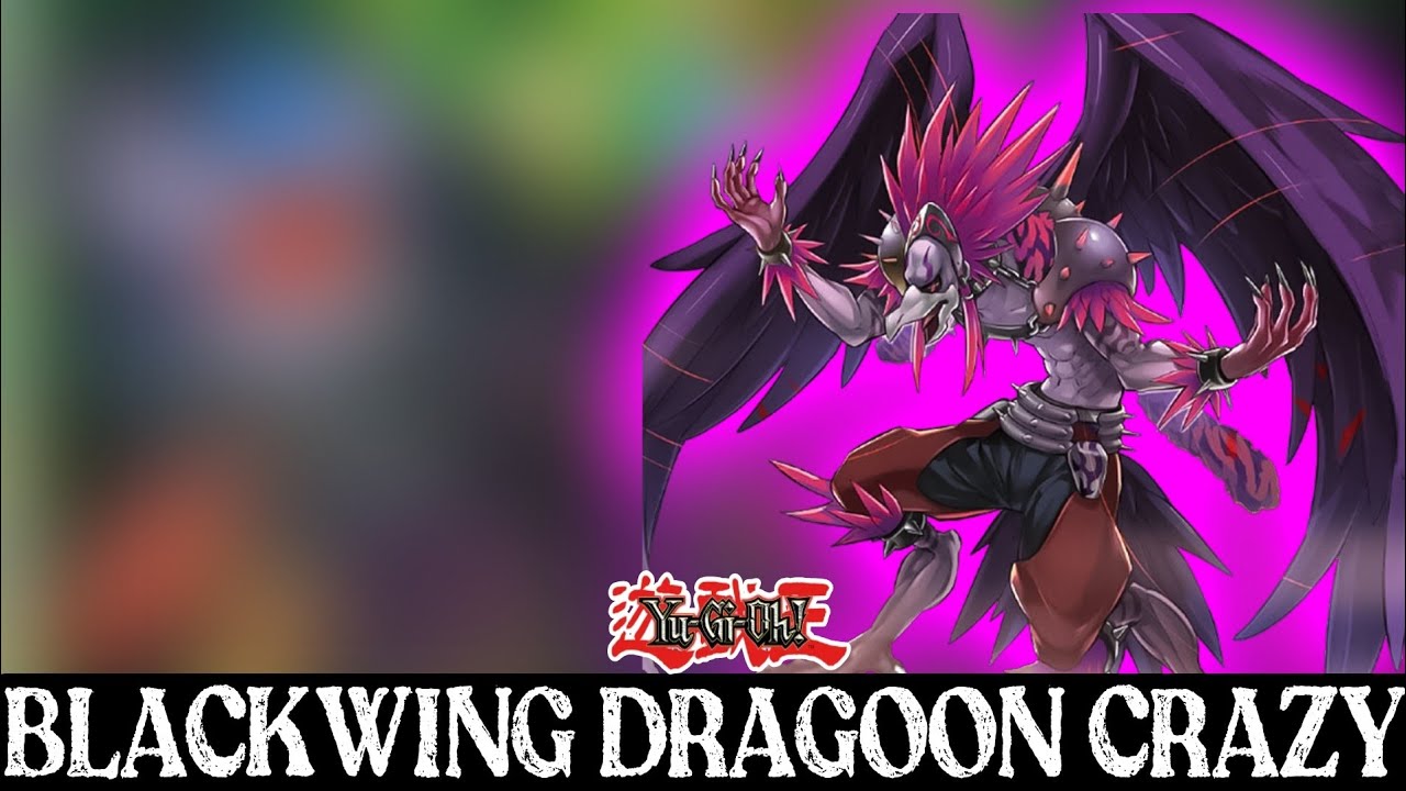 Yu-Gi-Oh! BLACKWING DRAGOON - DECK PROFILE + COMBO TUTORIAL (Maio ...