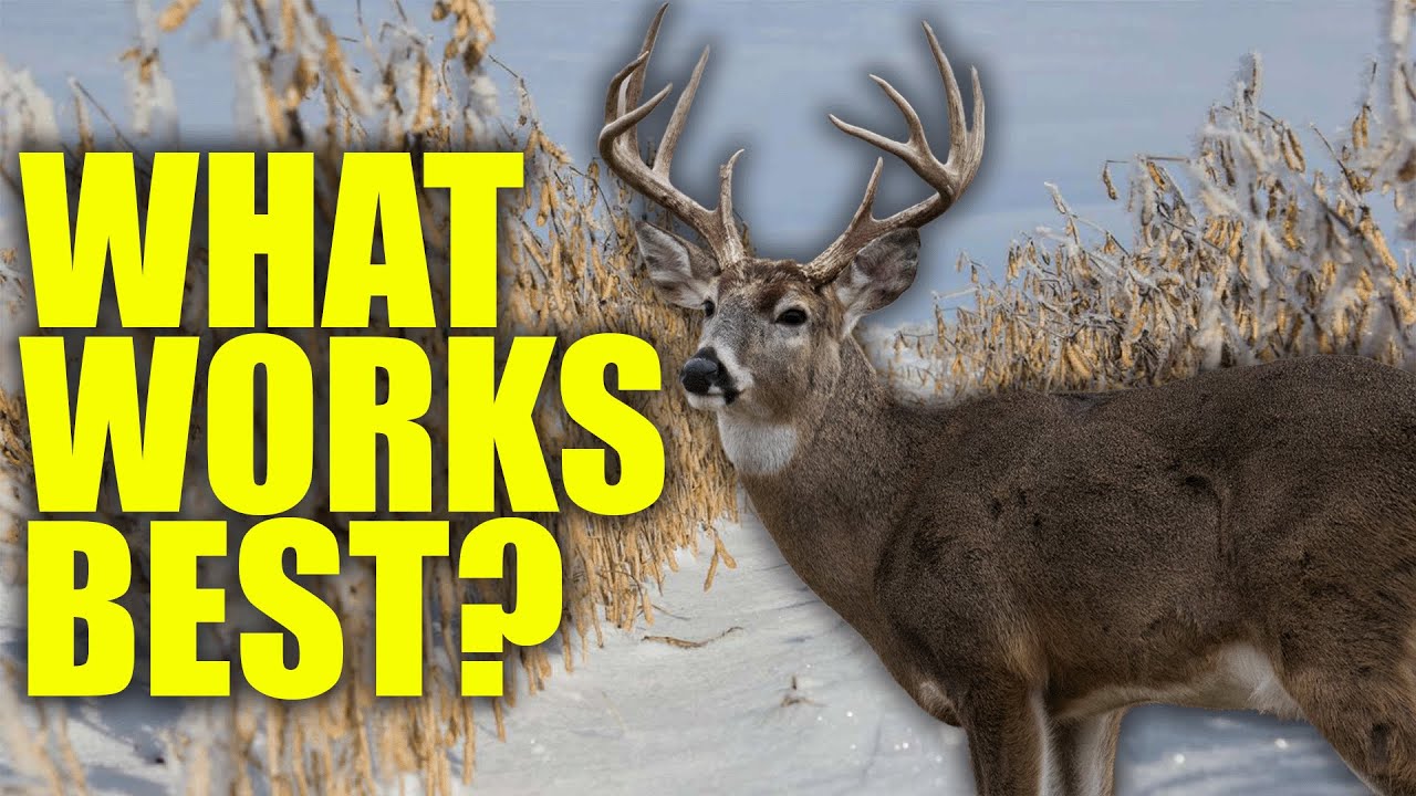 Hunting Late Season FOOD SOURCES with Don Higgins: The Time is NOW ...