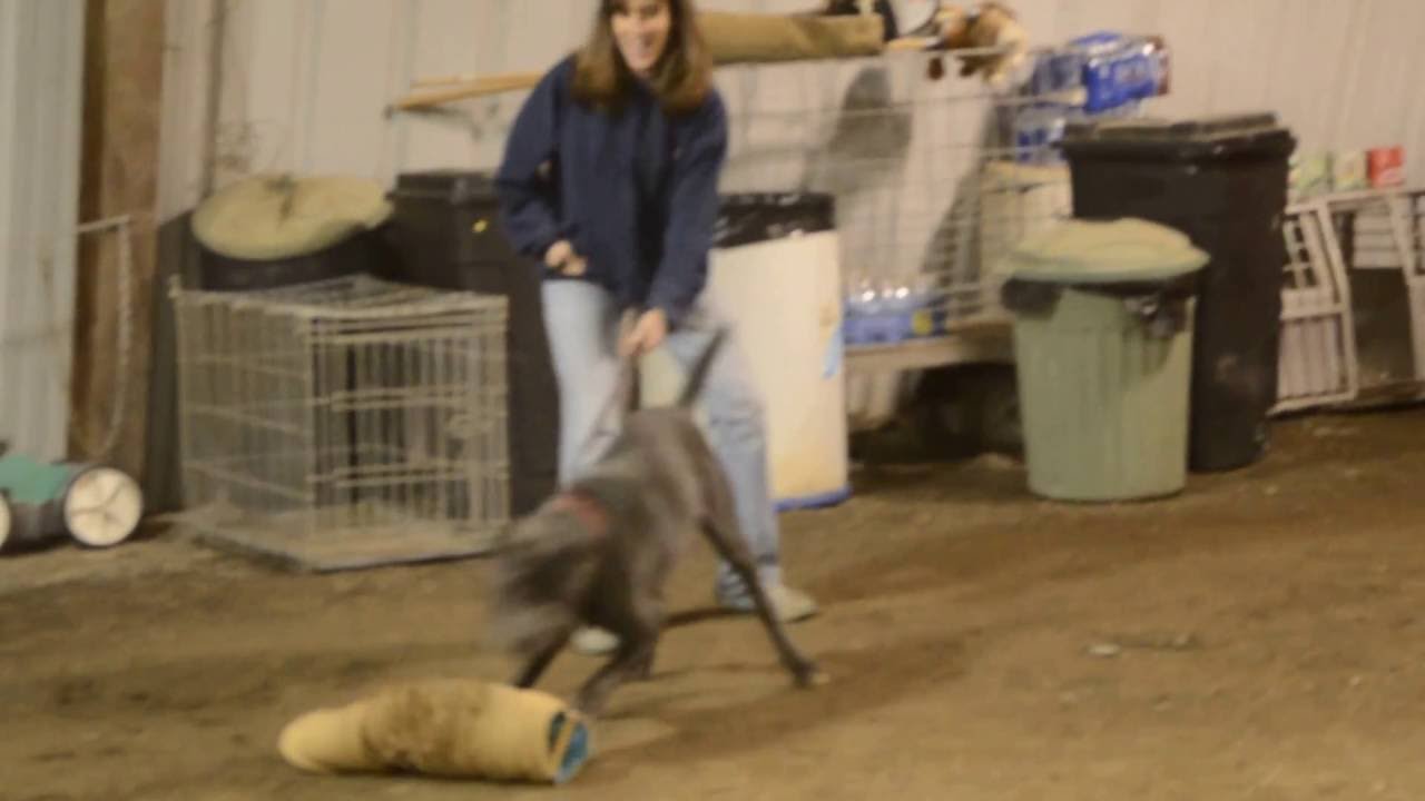 Personal Protection Training - YouTube