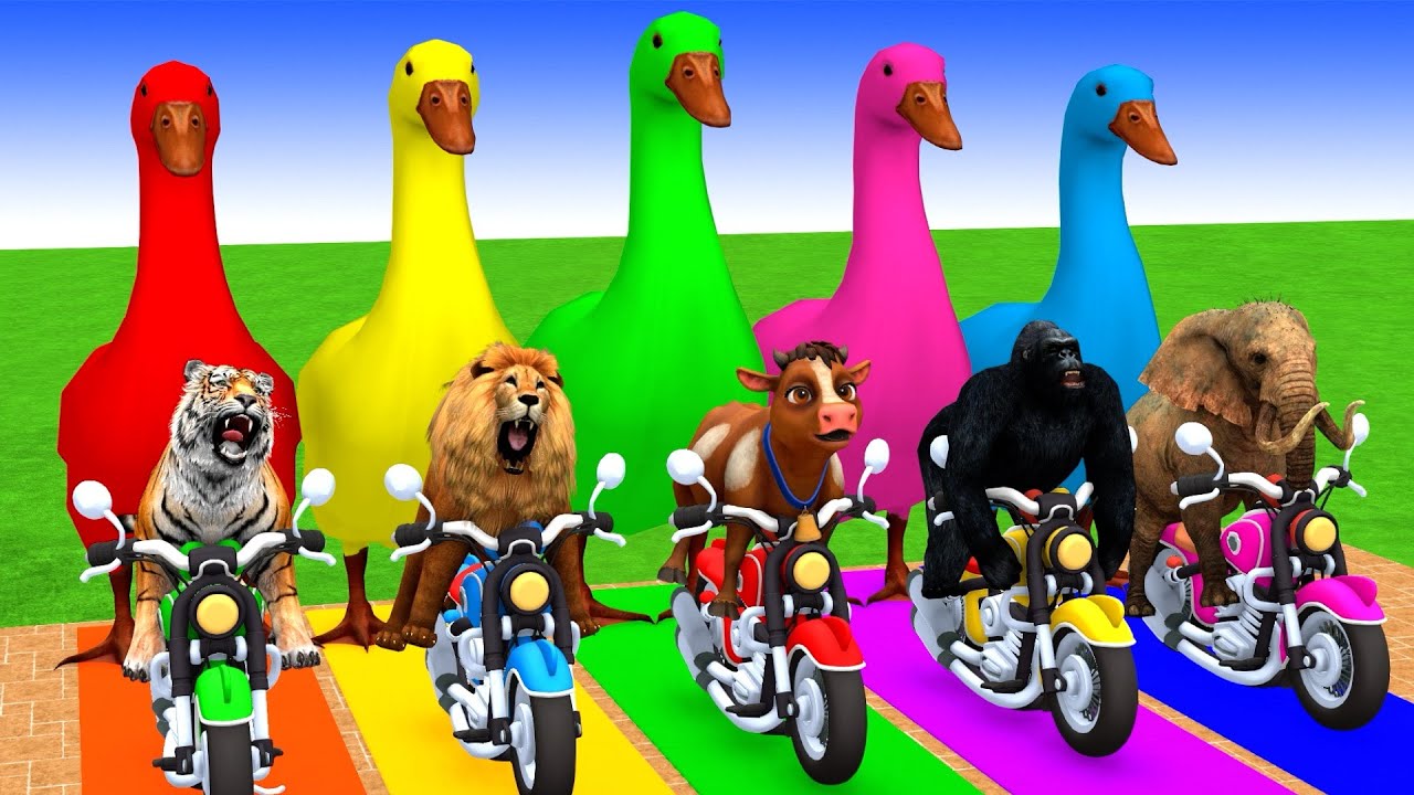 3d Animal Games - Funny 3d Animals. Long Slide Game With Elephant ...