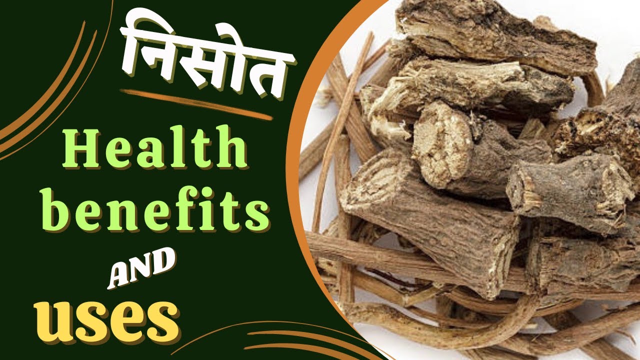 निसोत | operculina turpethum | ipomoea turpethum | indian jalap ...