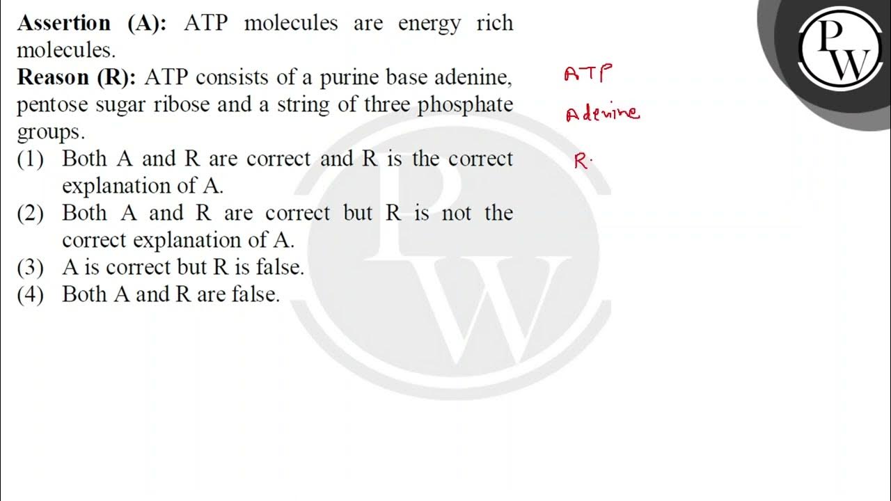 Assertion (A): ATP molecules are energy rich molecules. Reason (R): ATP consists of a purine bas ...