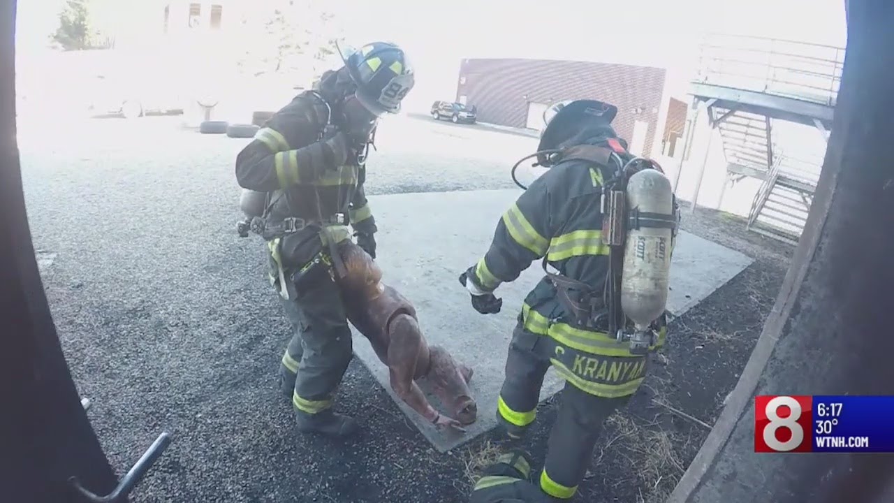 Firefighter Training: New Haven Fire Training Division - YouTube