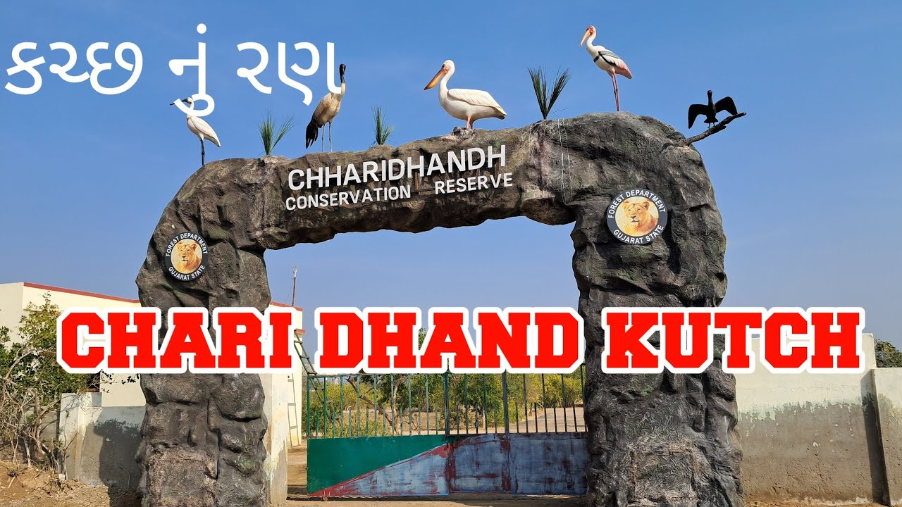 chari dhand kutch || કચ્છ નું રણ || નખત્રાણા - YouTube