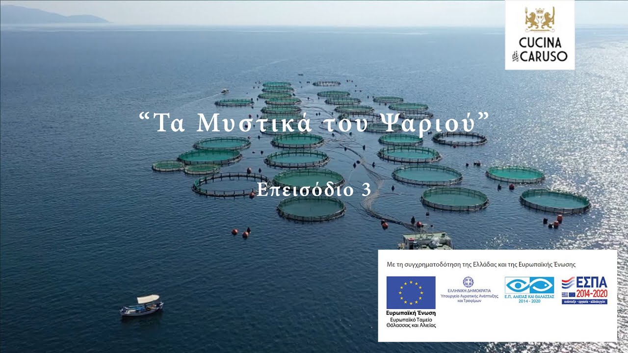 Τα Μυστικά του Ψαριού - Επεισόδιο 3 - YouTube