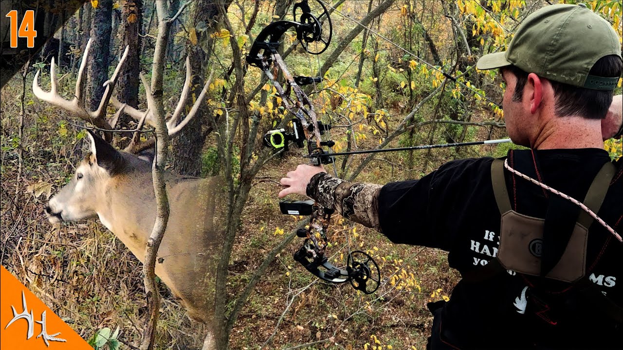 SHOOTER AT 12 Yards on a WATER HOLE, First Hunt - YouTube