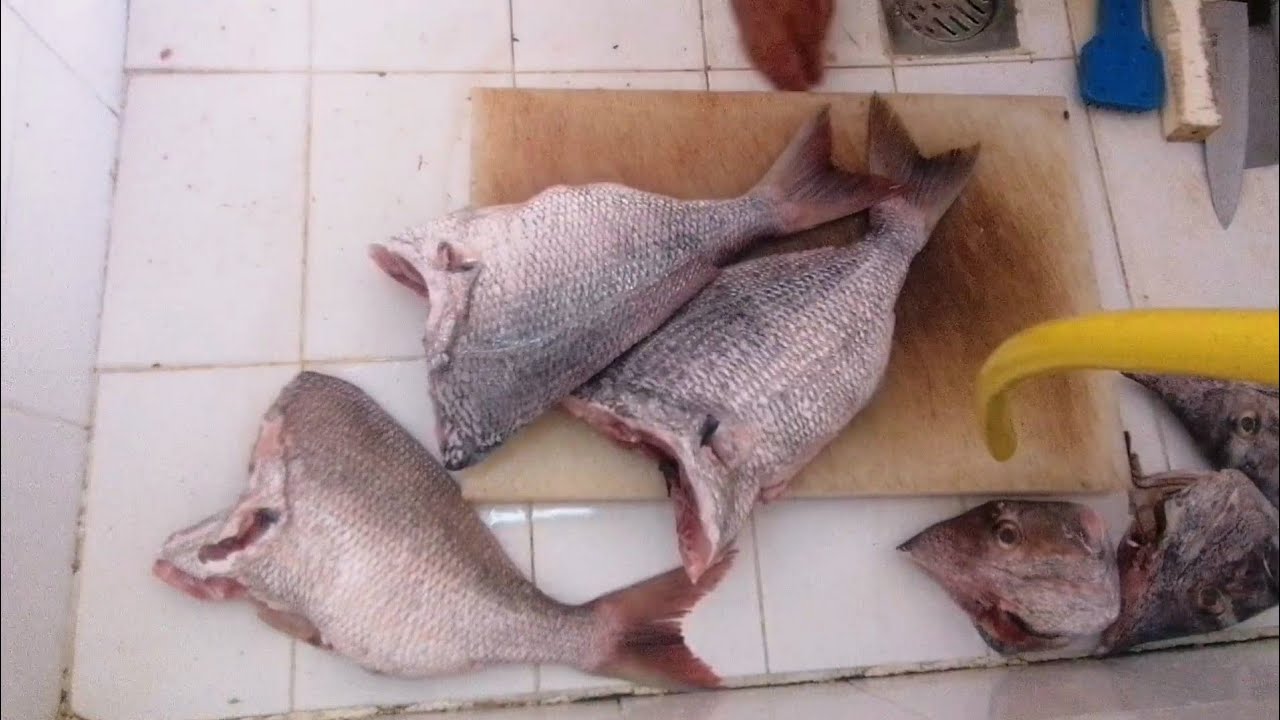 Red sheri fish cutting skills | Red jemal fish cutting skills oman ...