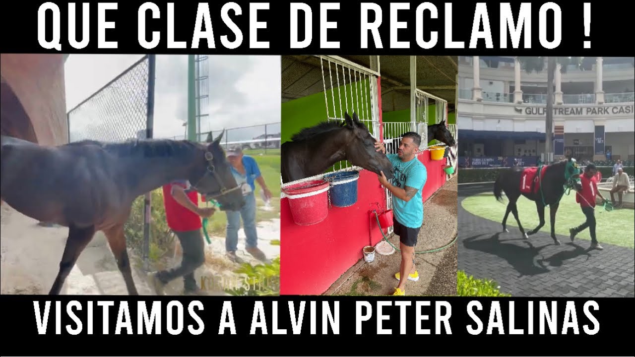 Nuevo Reclamo-Visite Cuadra De ALVIN PETER SALINAS-Comí De TODO - YouTube