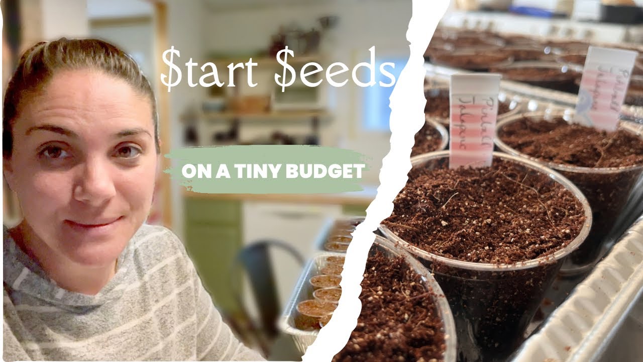 How I Grow Plants for Pennies--My Seed Starting Setup - YouTube