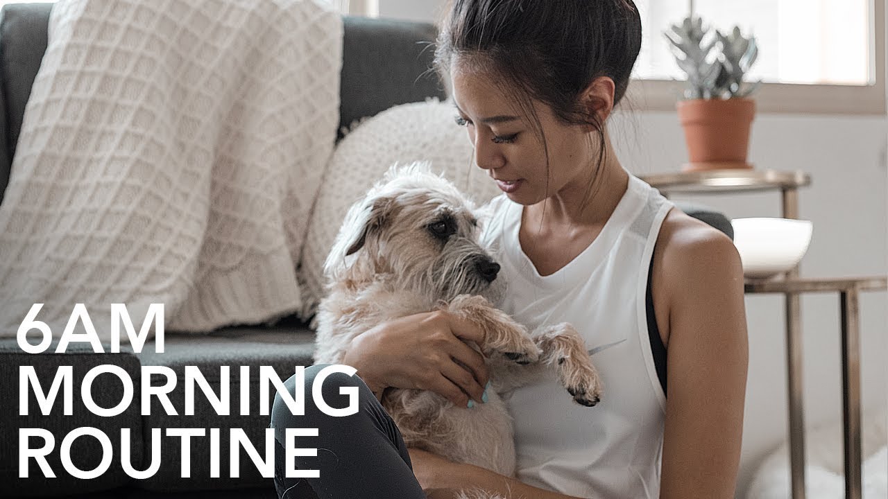 6AM Morning Routine With My Dog - YouTube