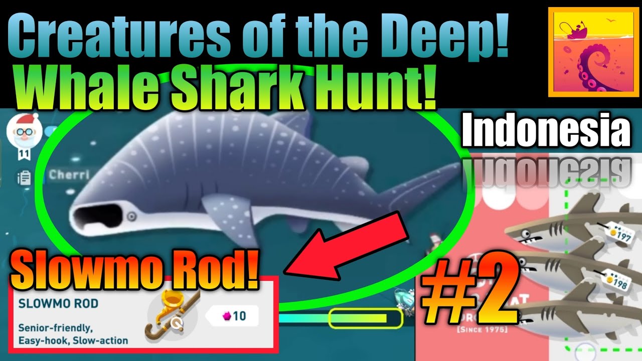 Berburu Whale Shark dengan SlowMo Rod Creatures of the Deep Fishing ...