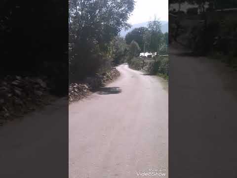 Belke bu tesadüf mehebbet oldu